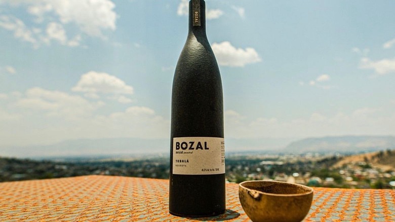 12 Best Mezcal Brands, Ranked