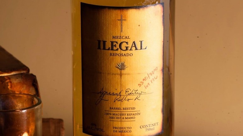 12 Best Mezcal Brands, Ranked
