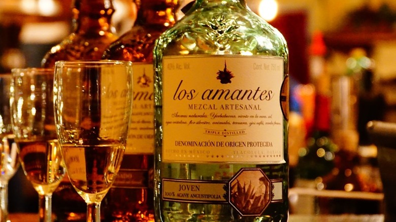 12 Best Mezcal Brands, Ranked