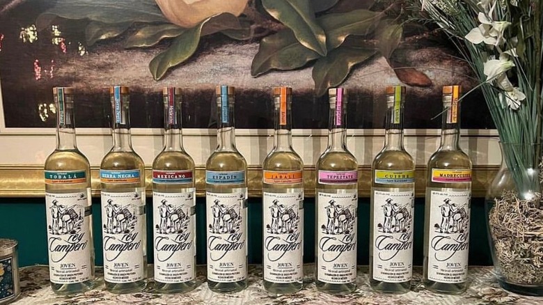 12 Best Mezcal Brands, Ranked