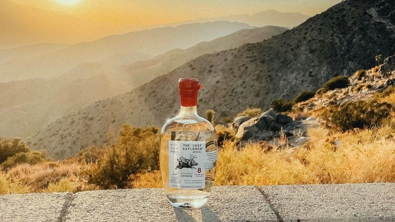 12 Best Mezcal Brands, Ranked