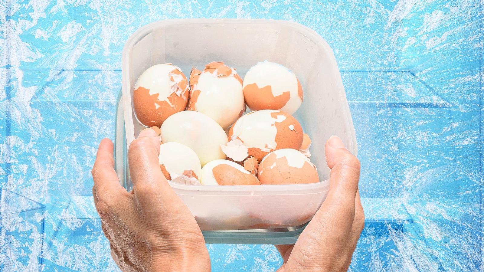 12 Tips You Need To Know Before Freezing Eggs