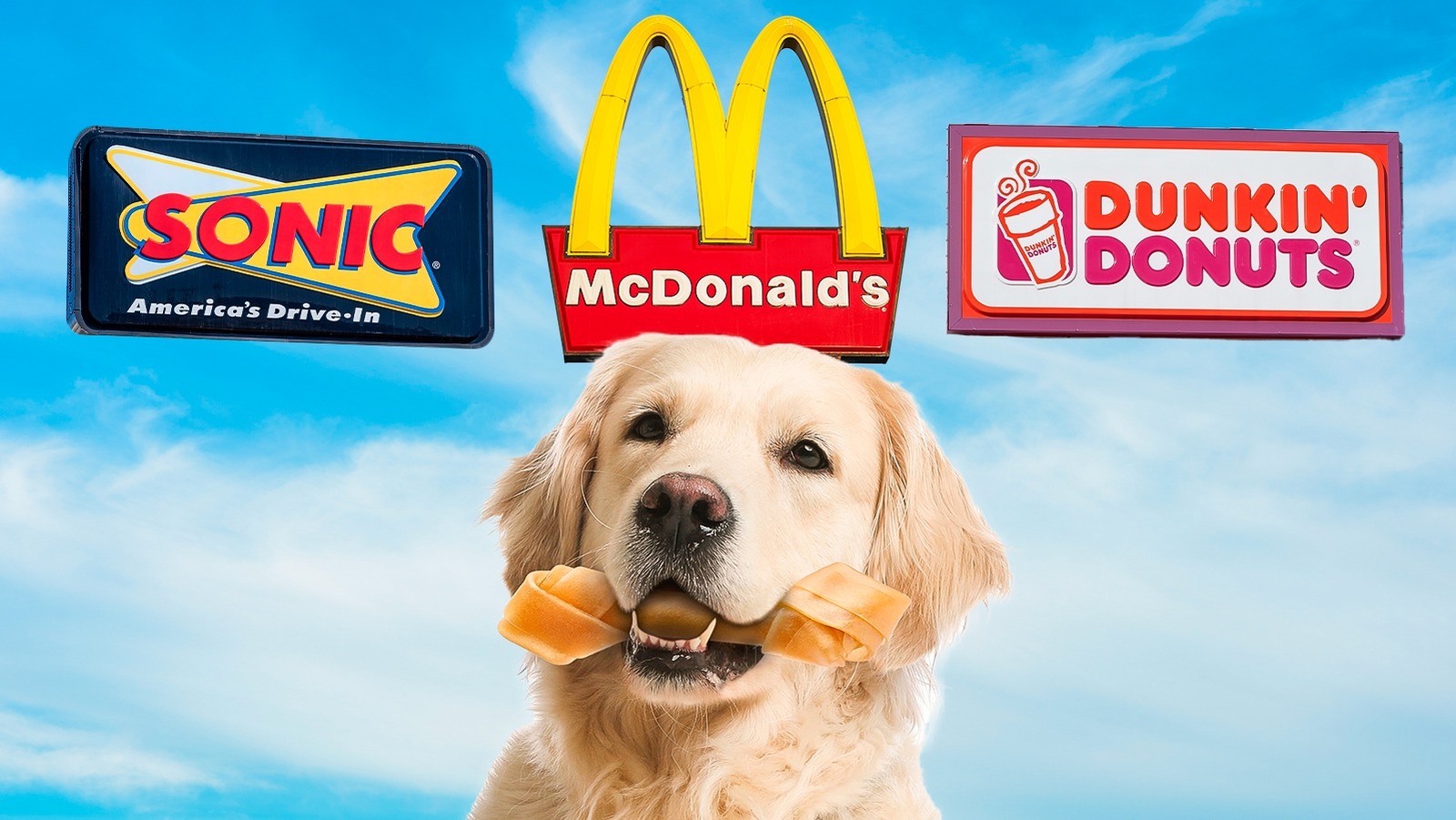 13 Fast Food Chains Where Your Dog Can Get A Treat Too