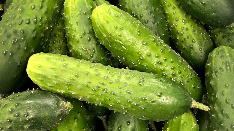15 Different Types Of Pickles And What Makes Them Unique