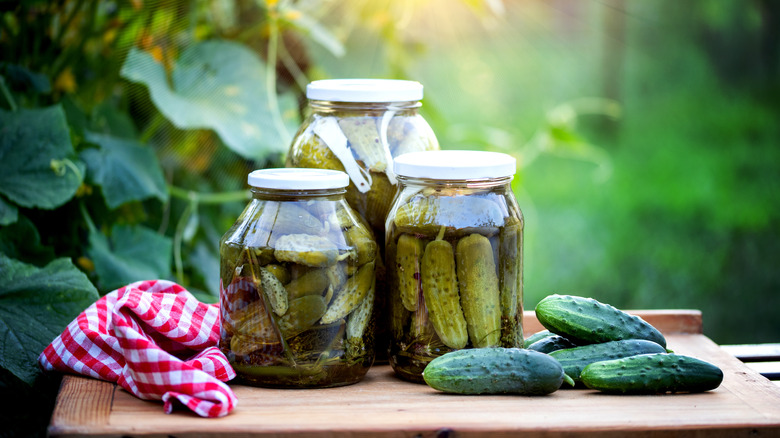 15 Different Types Of Pickles And What Makes Them Unique