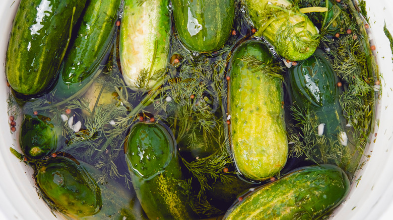 15 Different Types Of Pickles And What Makes Them Unique