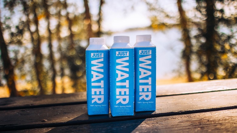 25 Popular Bottled Water Brands, Ranked Worst To Best