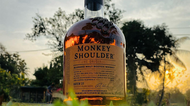 15 Popular Scotch Brands, Ranked