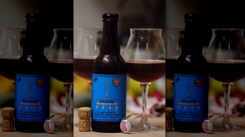 15 Popular Sour Beers, Ranked