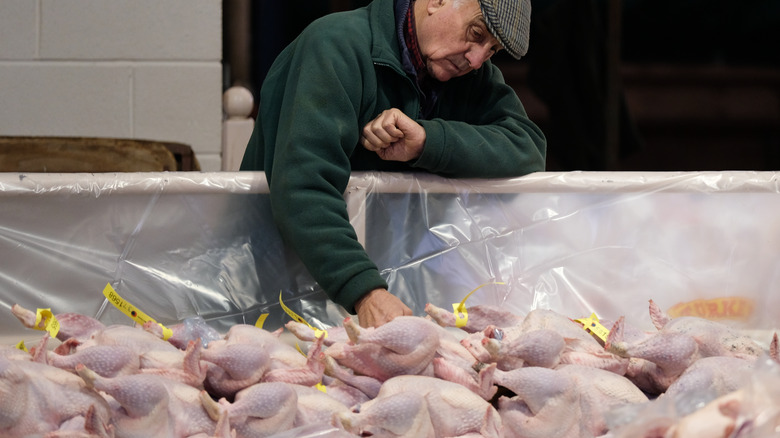 15 Tips For Cooking A Perfect Turkey