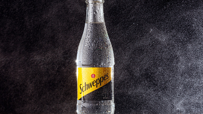 15 Tonic Water Brands, Ranked Worst To Best