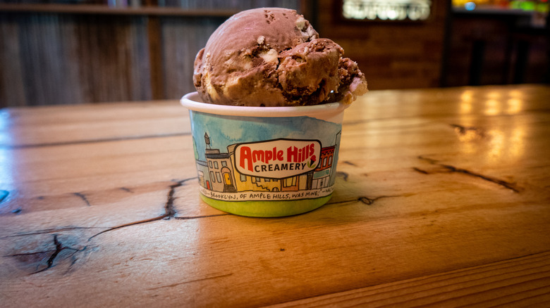 25 Best Ice Cream Brands Ranked