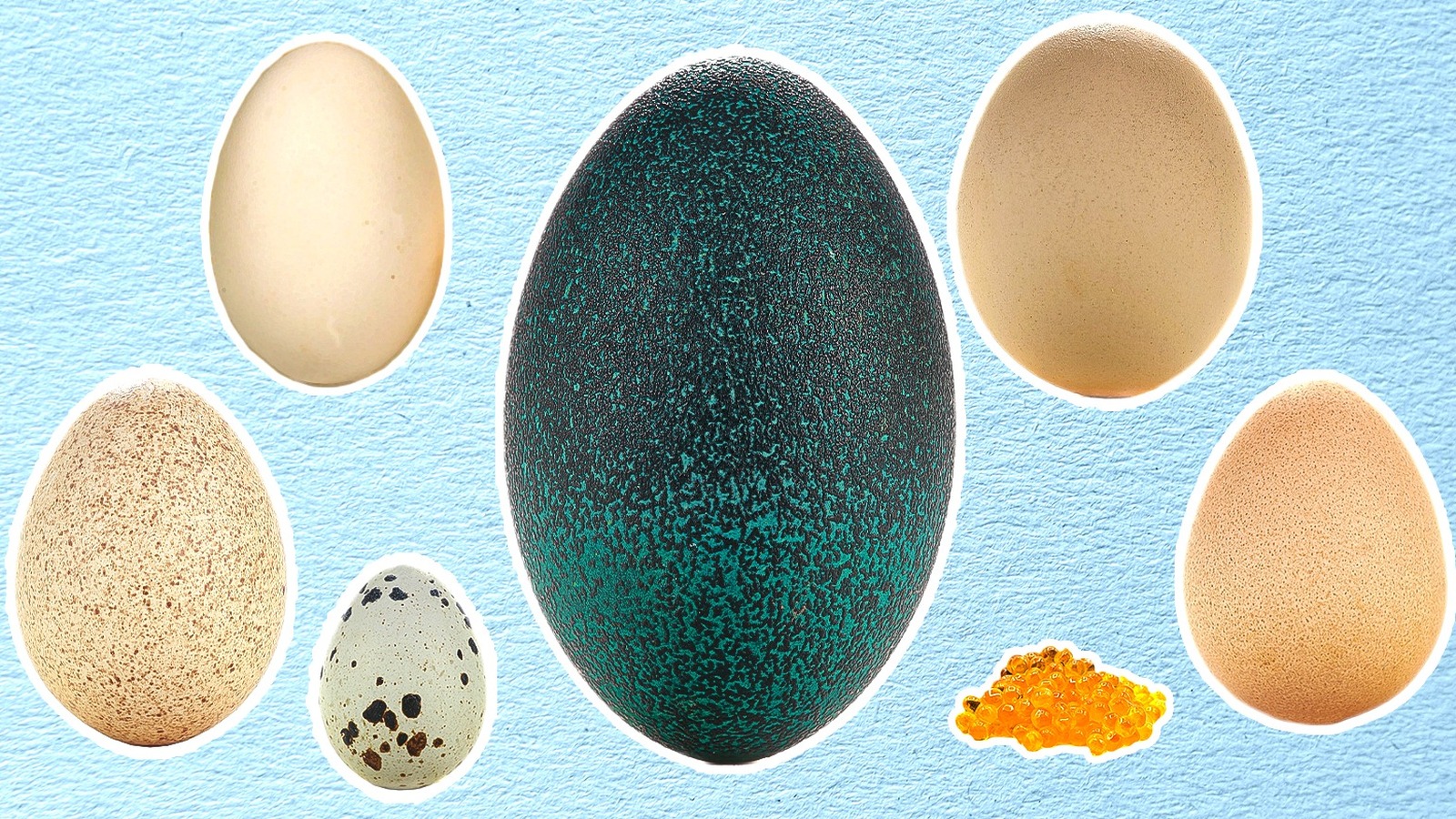 18 Varieties Of Eggs, Explained