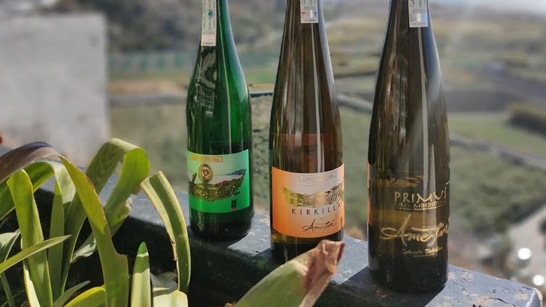 20 Best Wine Brands, Ranked