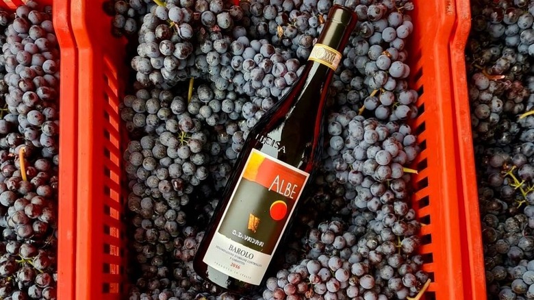 20 Best Wine Brands, Ranked