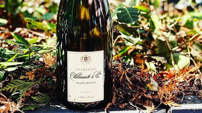 20 Best Wine Brands, Ranked