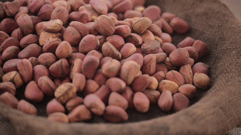 20 Most Popular Types Of Nuts Explained