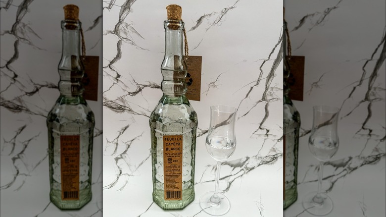 27 Popular Tequila Brands, Taste Tested And Ranked