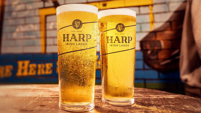 9 Popular Irish Beer Brands, Ranked