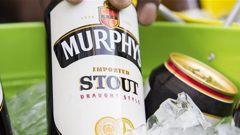 9 Popular Irish Beer Brands, Ranked
