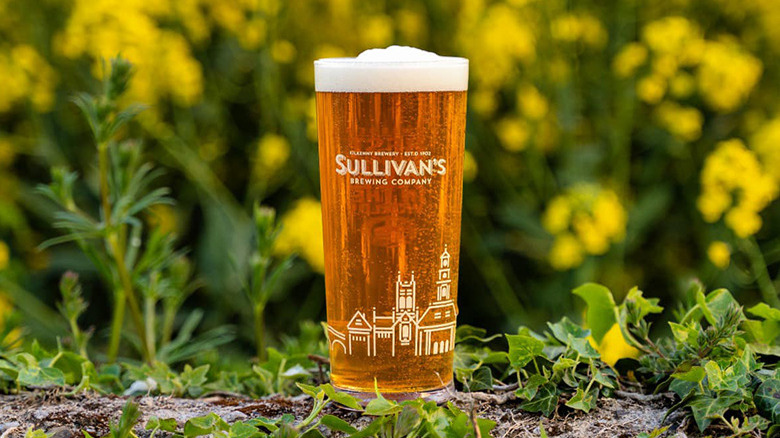 9 Popular Irish Beer Brands, Ranked