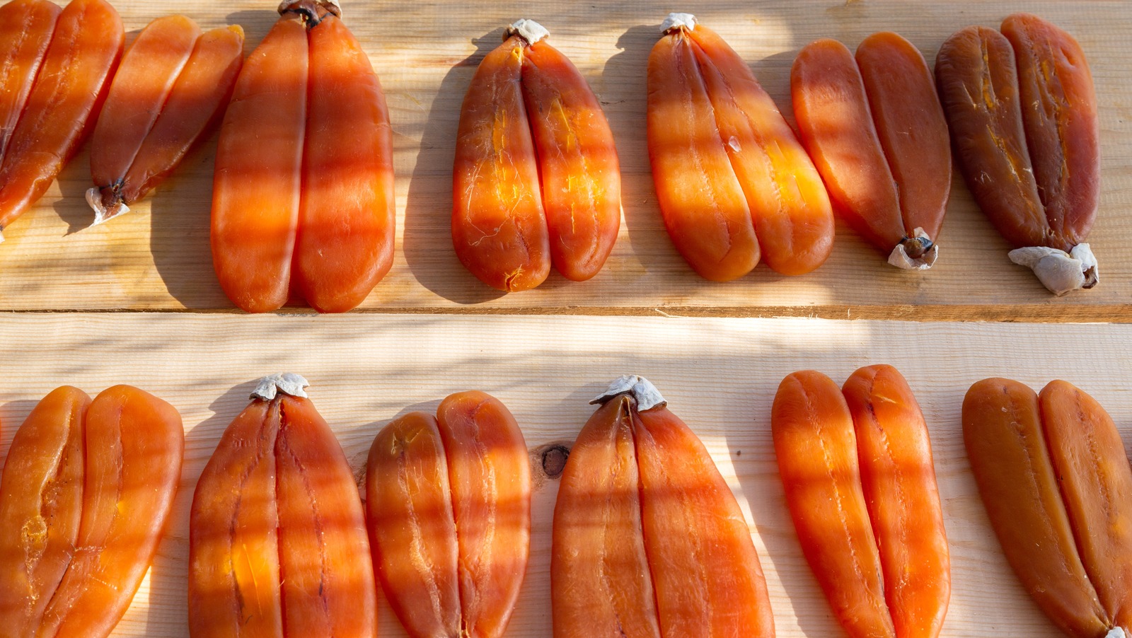 Mullet Roe: What Is It? Does It Taste Good? Quick Answers, 46% OFF