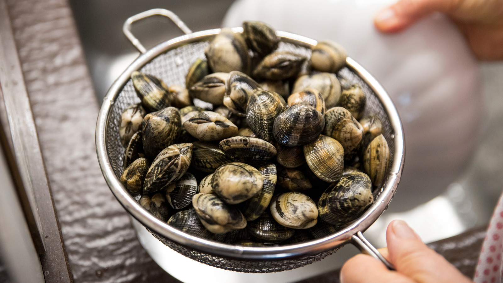 How To Clean And Store Clams And Mussels