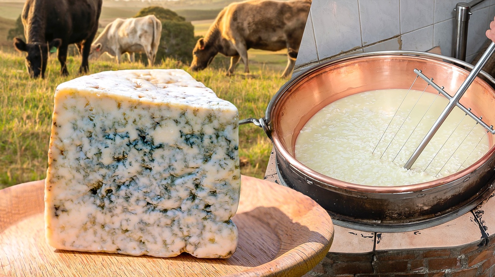 A Beginner's Guide To Artisanal Cheese