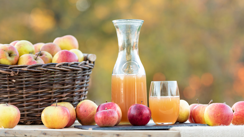 What's The Difference Between Apple Cider And Apple Juice