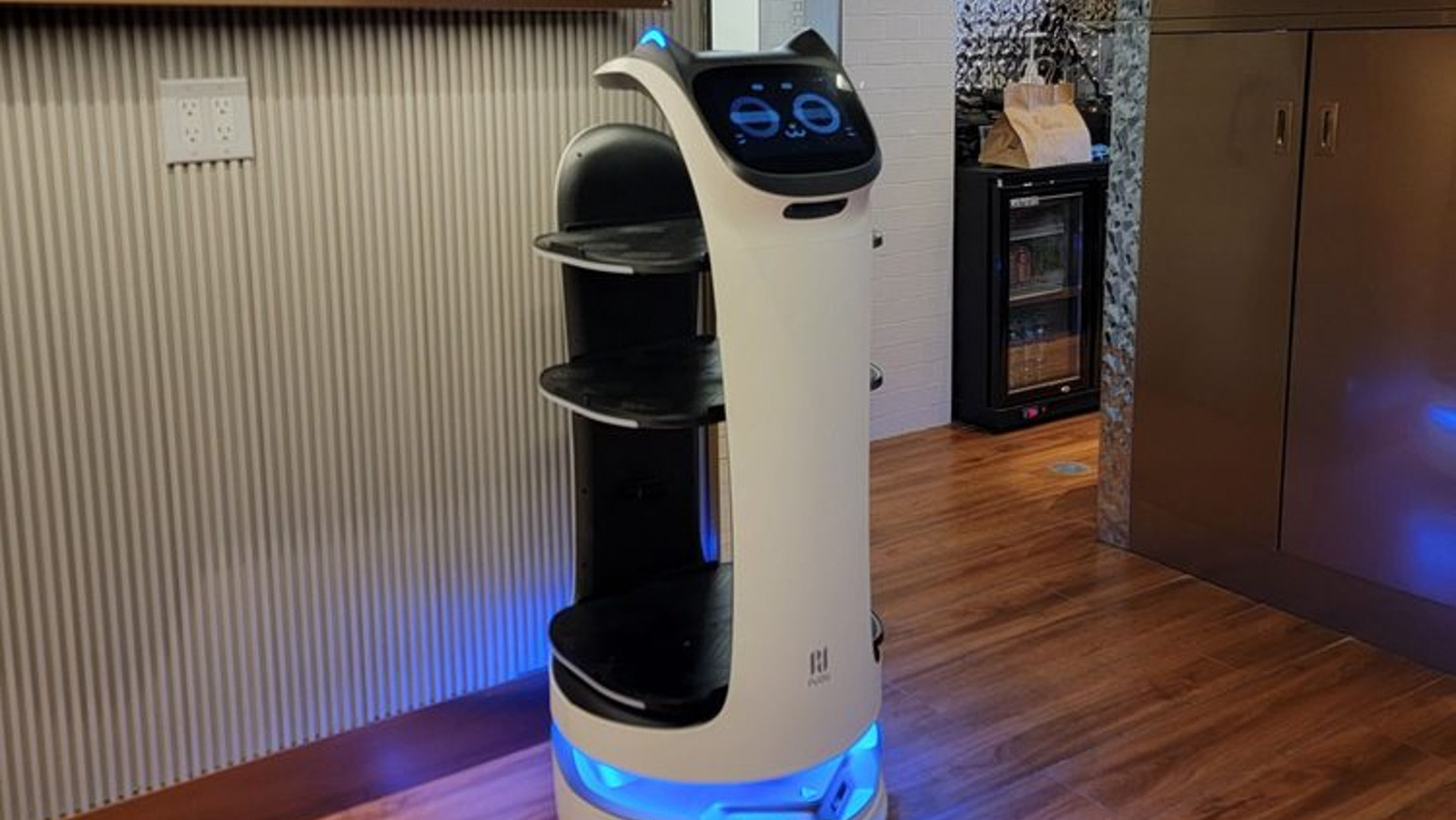 At NYC's Dimmer & Summer Restaurant You Could Be Served By A Cat Robot
