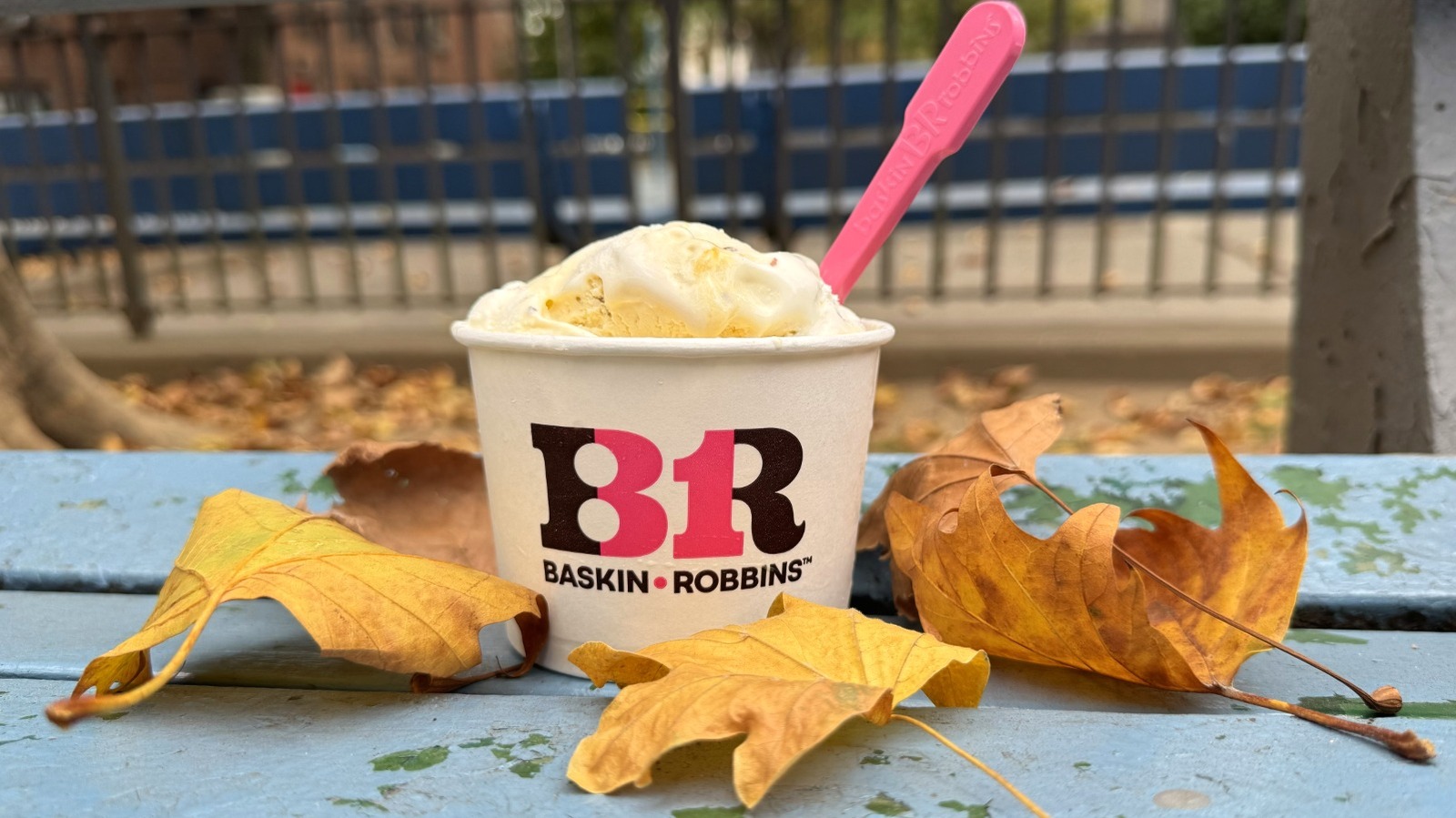 Review: Baskin-Robbins' Brie My Guest Flavor Is A Decadent Cheese Board ...