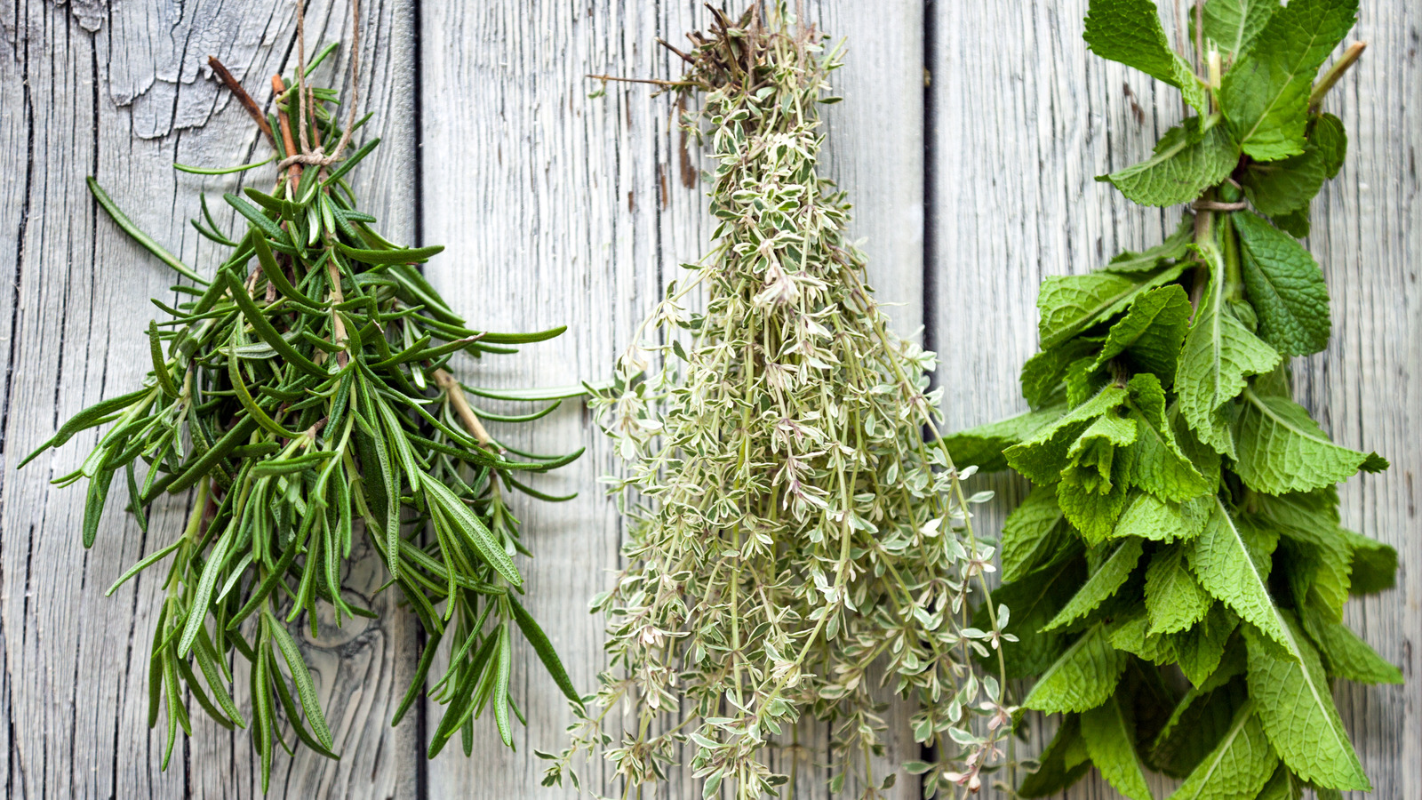 Before Tossing Your Old Herbs, Hang Them To Dry And Extend Their Usage