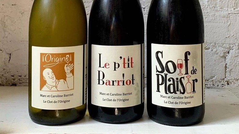 Best Natural Wine Brands, Ranked