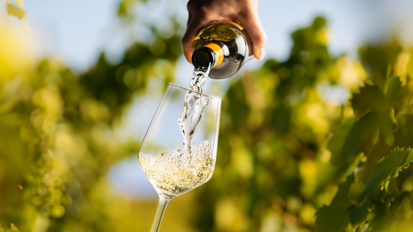 12 Natural Wines To Drink In 2024