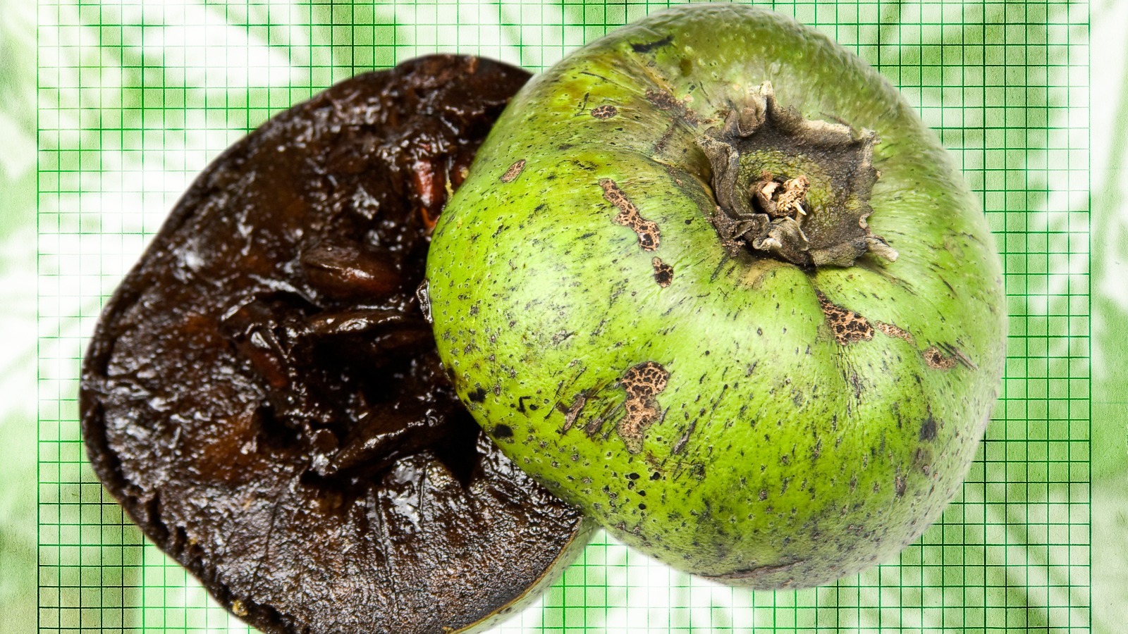 Black Sapote: The Unusual Fruit That Resembles Chocolate Pudding