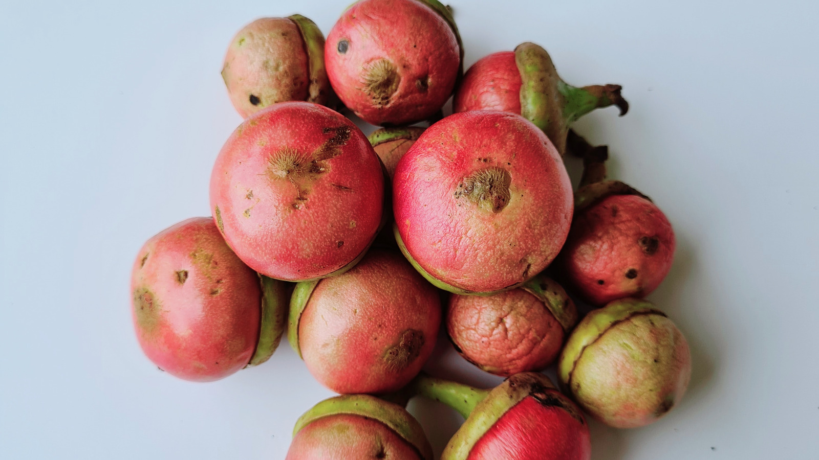 Borneo's Pink Engkalak Fruit Is Like A Tangy, Decadent Avocado