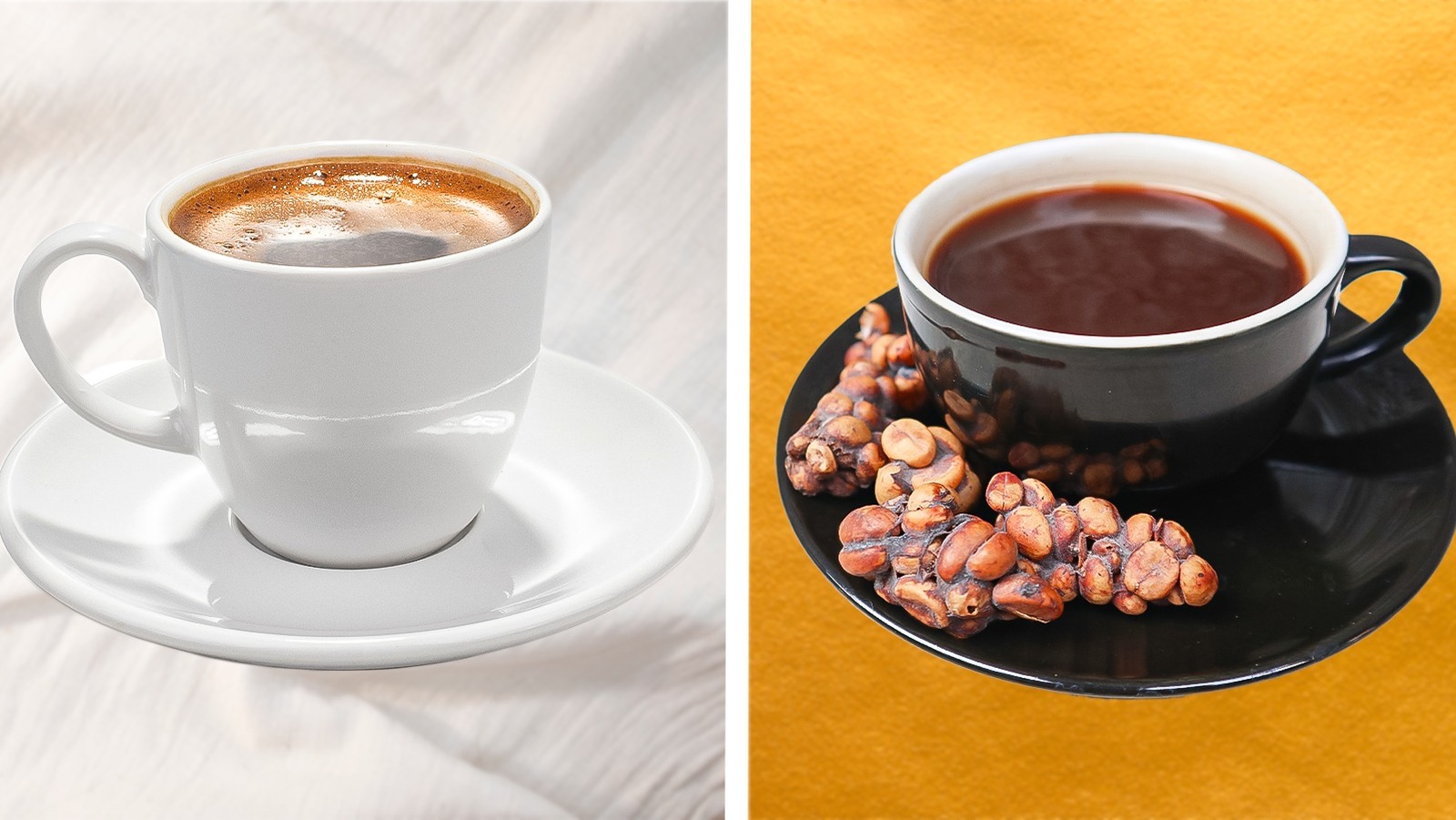 Cheap Coffee Vs Expensive Beans: How To Tell The Difference
