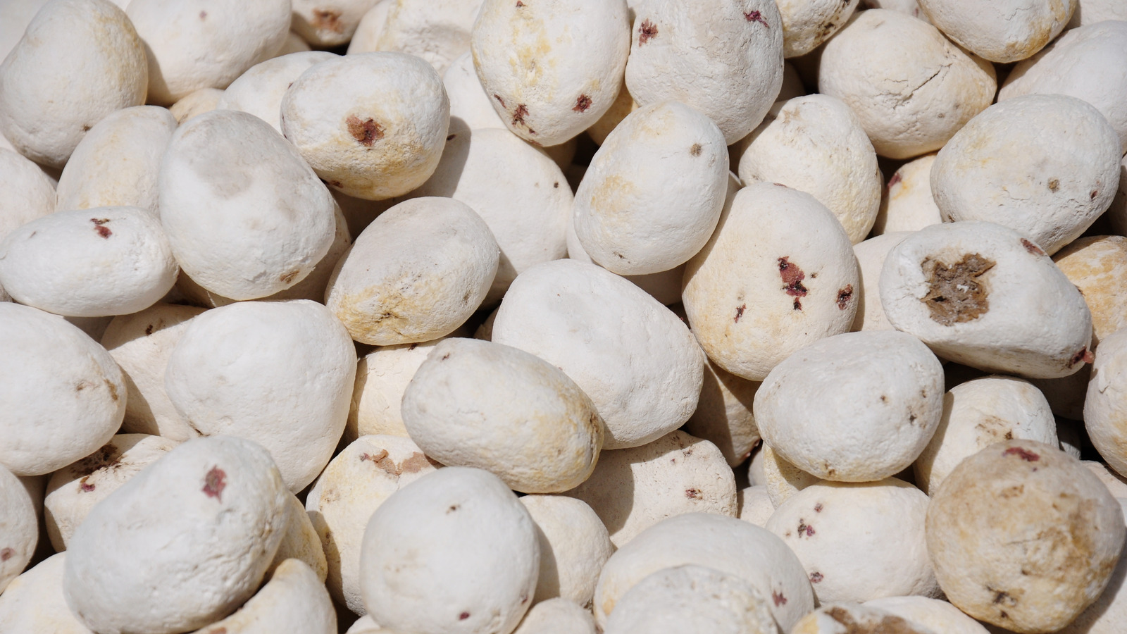 Chuño: The Ancient South American Potato Staple You Should Know