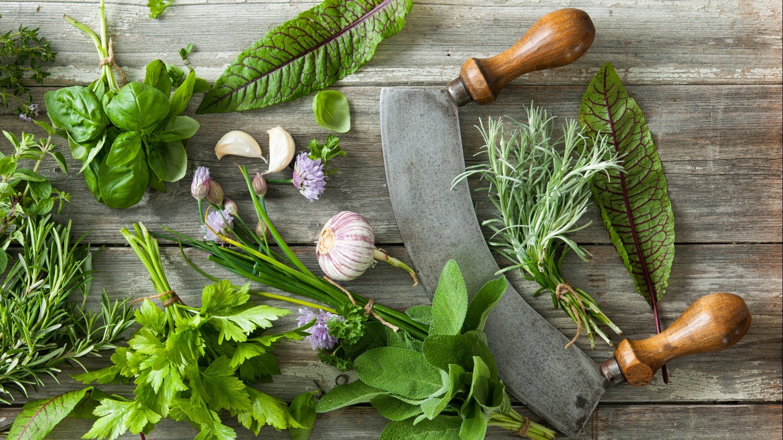 Green Spices Wallpaper