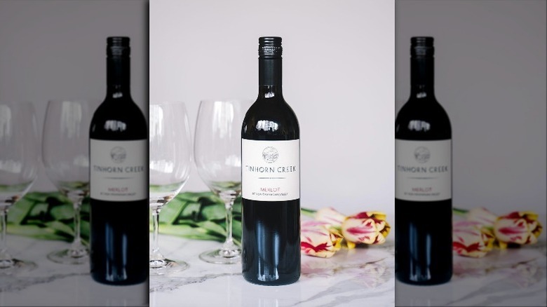 Every Major Type Of Red Wine You Would Ever Need To Know