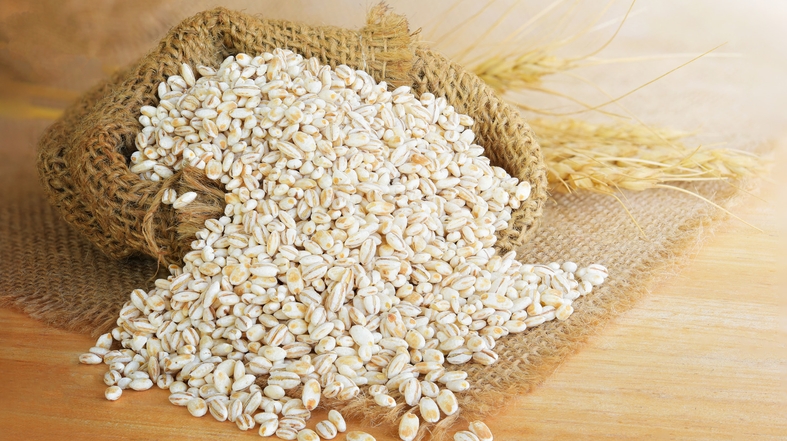 Everything You Need To Know About Barley