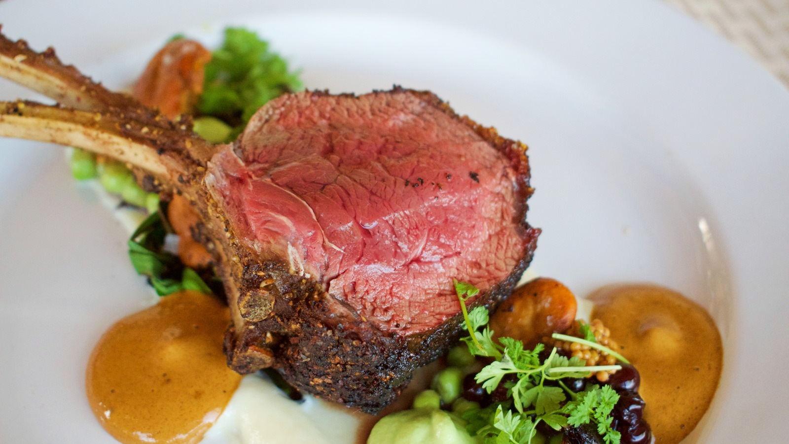 Everything You Need To Know About Elk Meat