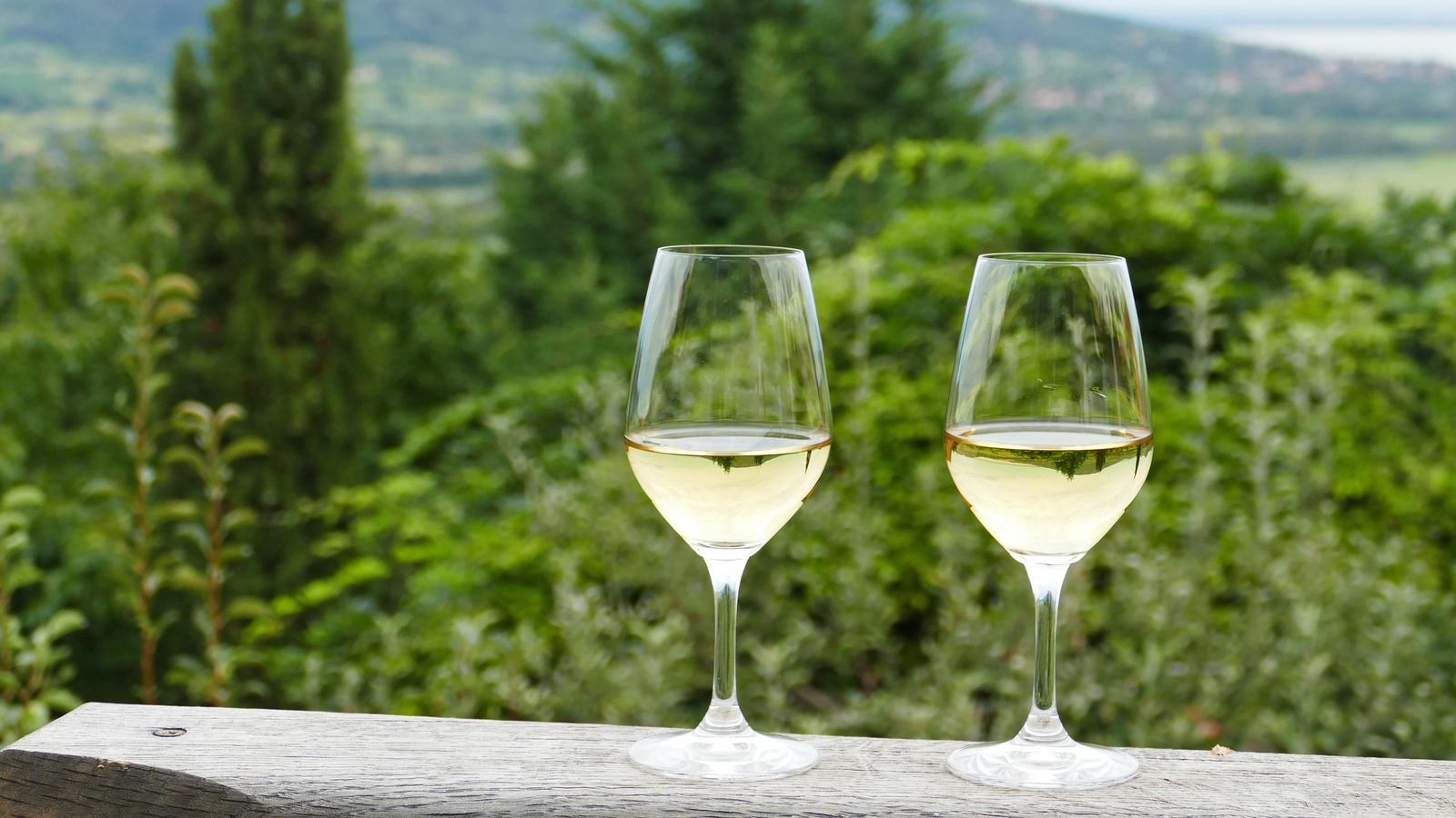 Everything You Need To Know About Volcanic Wines