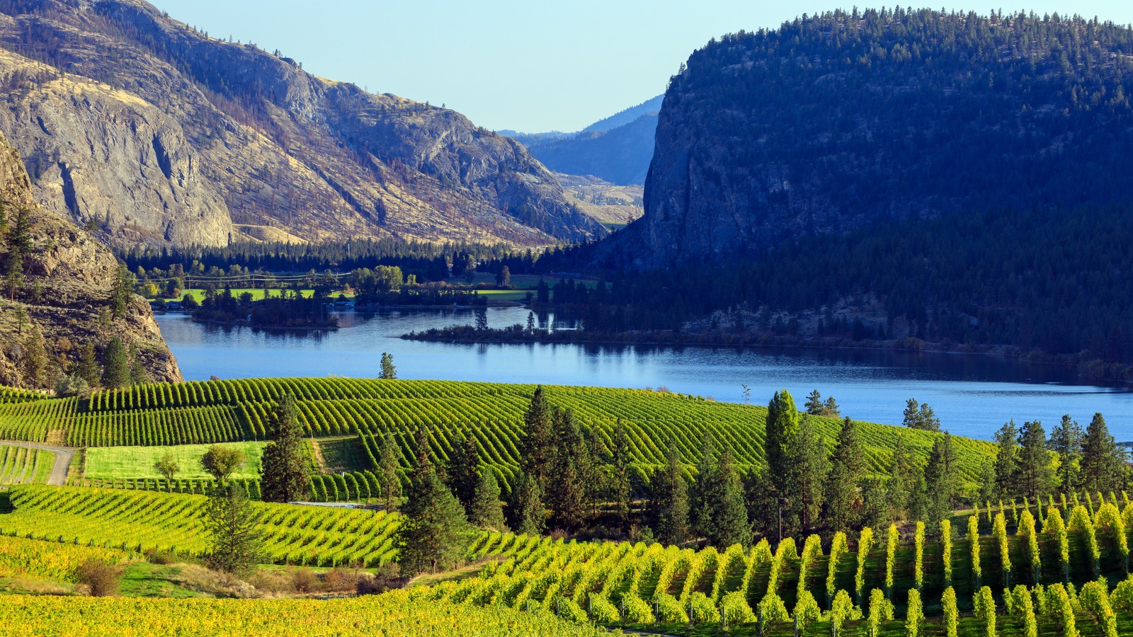 Explore Canada With These 12 Wines