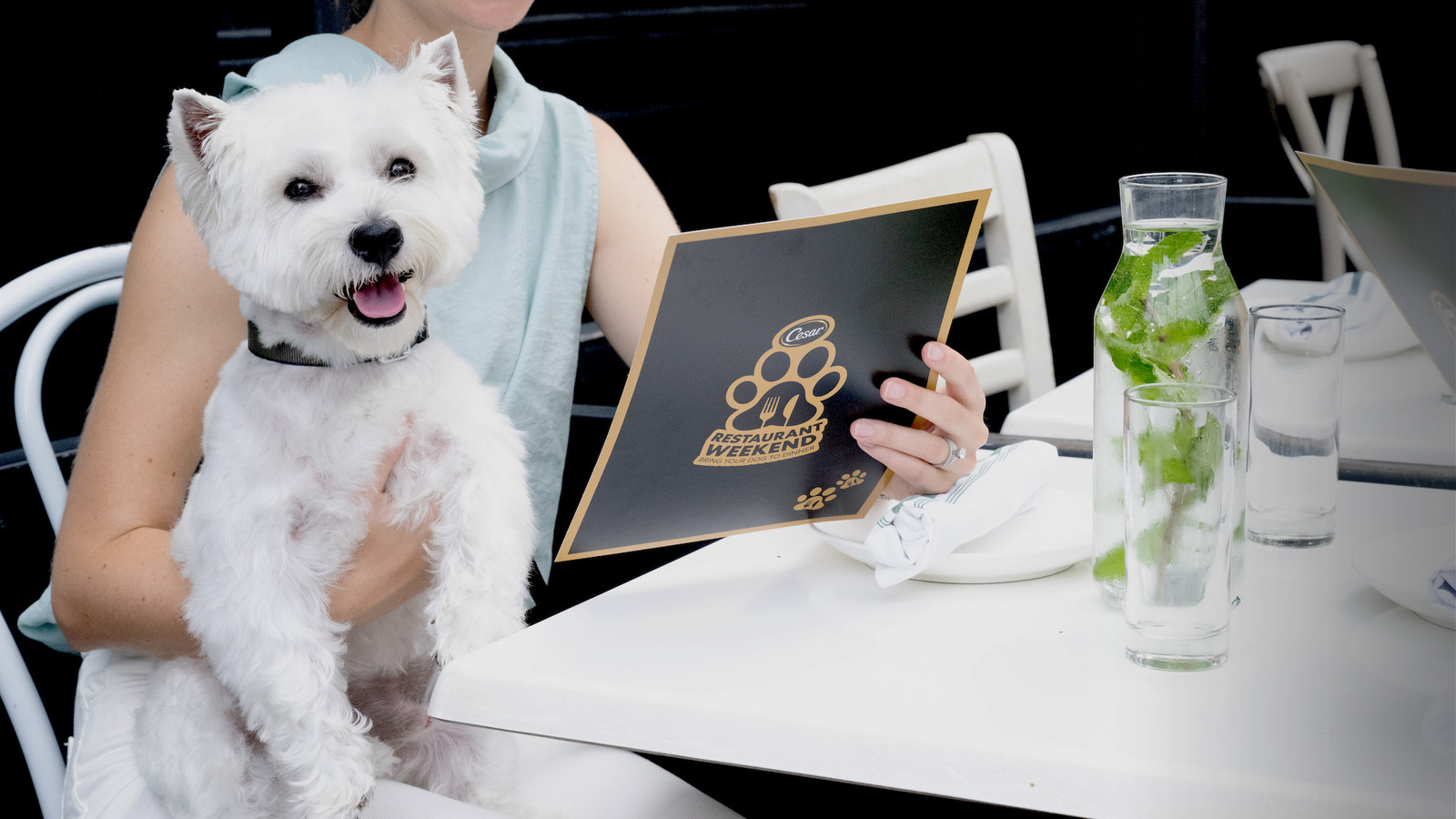 First-Ever CESAR Restaurant Weekend Brings Both Dogs And Diners To NYC