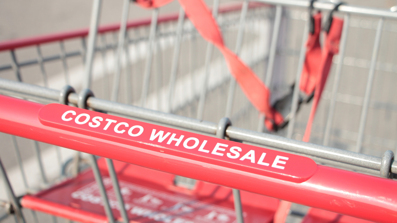 First Time Going To Costco? Devoted Shoppers Say You Should Invest In ...