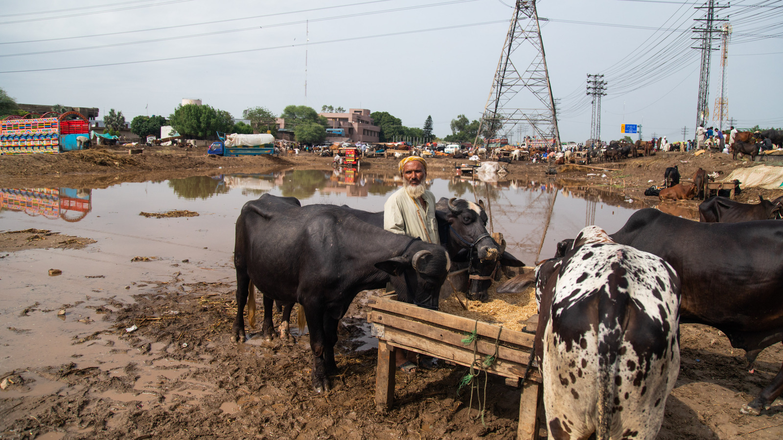 Floods Are Devastating Pakistan's Food Supply