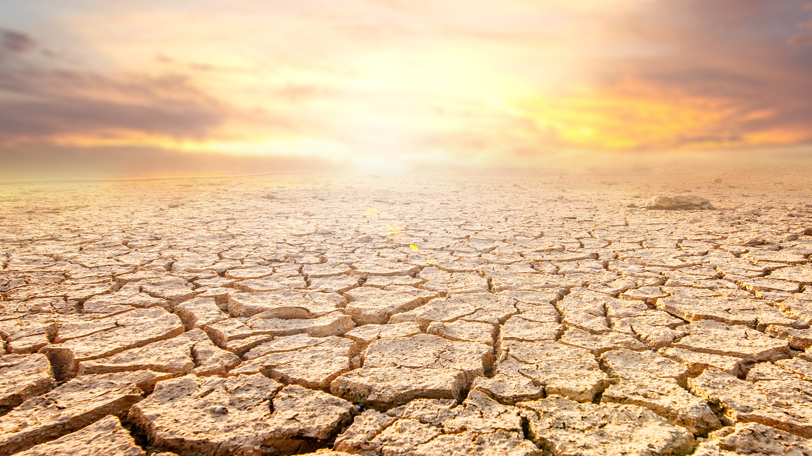 How A Never-Before-Seen Dry Season Is Wrecking Africa's Agriculture