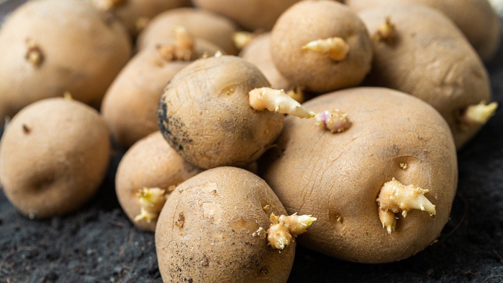 How Apples Can Help Prevent Your Potatoes From Sprouting