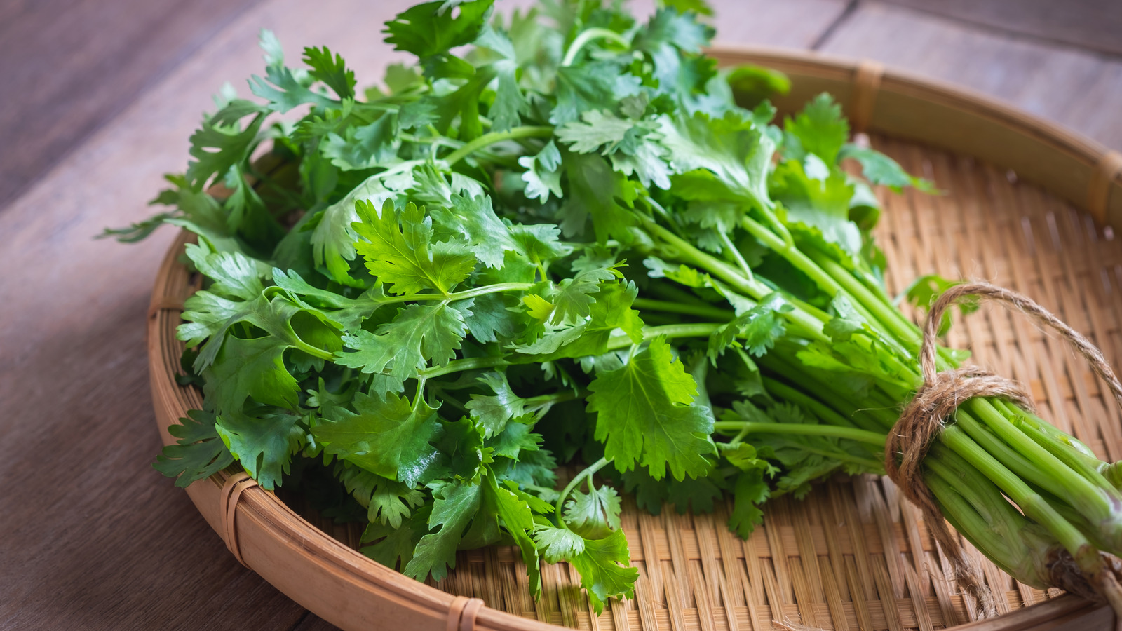 How Cilantro Can Help Take The Edge Off Of Spicy Food